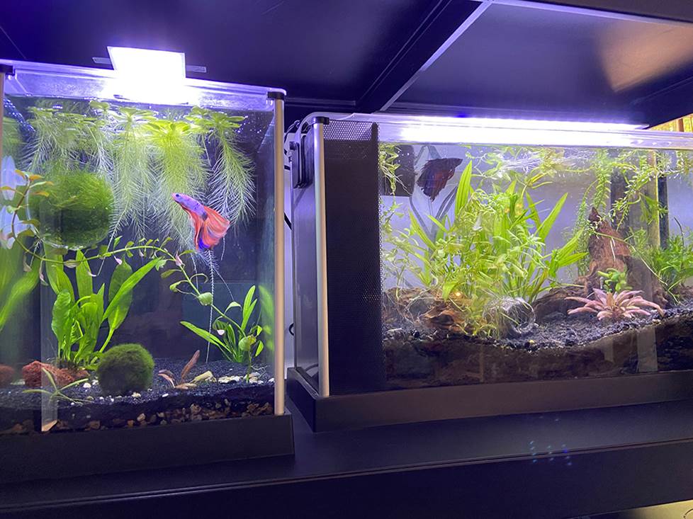 Smart lighting guide