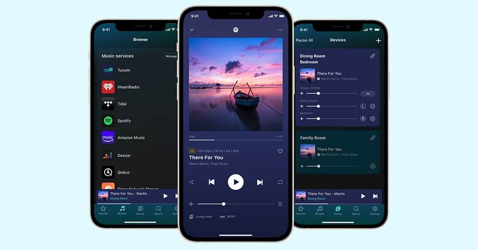 WiiM streamer review