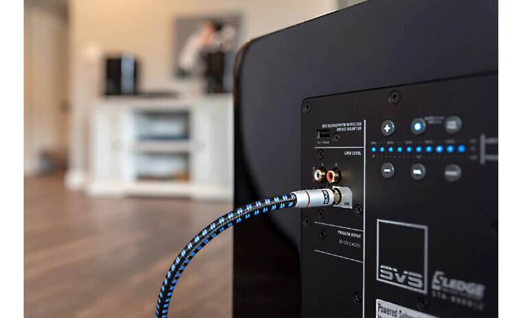 SVS SoundPath RCA Audio Interconnect Cable (3 meters/9.8 feet) Mono RCA ...