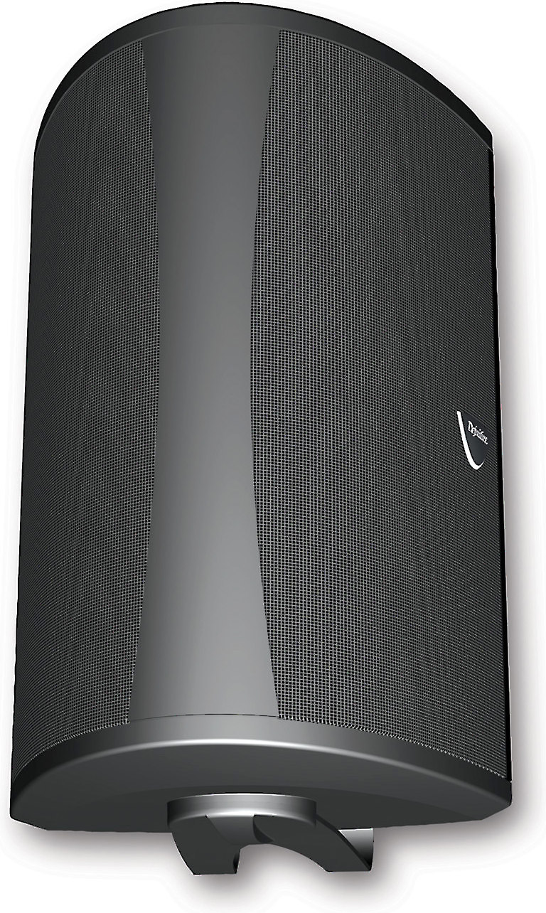 Customer Reviews: Definitive Technology AW5500 (Black) Outdoor speaker ...